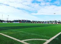 China Realistic Artificial Soccer Turf 30-60mm 12000 Dtex PP Cloth SBR Latex Backing for sale