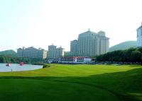 China Fibrillated Shape PE Material Artificial Grass for Sports 30-60mm Yarn Height 8000 Dtex for sale
