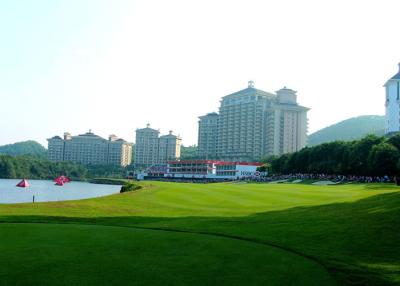 China Fibrillated Shape PE Material Artificial Grass for Sports 30-60mm Yarn Height 8000 Dtex for sale