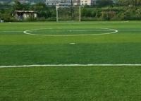 China Customized Height 8000 Dtex Sports Artificial Football Turf High Wear Resistance UV Protected for sale