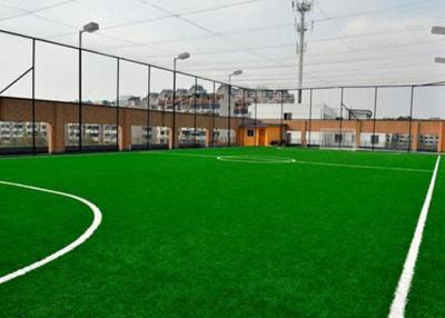 China Apple Green PE Artificial Turf Diamond Plus Stem 8000 Dtex 30-60mm Height for sale
