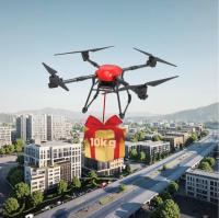 China Professional transportation drones/4K camera mounted on a professional drone/drone camera 4K /outdoor drones/10kg payload photography drones wifi drone/GPS drone/four-Rotor drone/delivery drone for sale