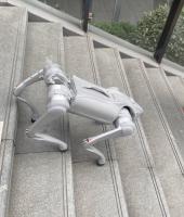 China Meet Your Perfect Companion Voice AI Large Model Robot Dog Compatible with Android and iOS for sale