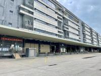 China Guangzhou Free Trade Zone Import and Export Duty Free Warehousing Import Distribution Export Consolidation for sale