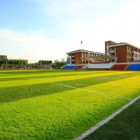 China High Density Sports Field Artificial Grass Turf Green Futsal Football Synthetic Turf for sale