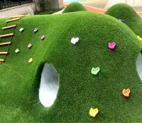 China Outdoor Natural Green Artificial Grass Turf Rug 2*25m Customizable For Garden Carpet for sale