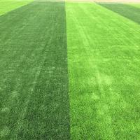 China Decorative Eco Friendly Simulated Outdoor Garden Artificial Lawn for sale