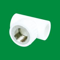 China Factory Wholesale PPR Water Supply Fittings PPR Internai Wire Coupling Fittings for sale