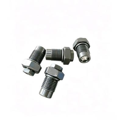 China Hydraulic Breaker Nitrogen Charging Valve Excavator Rock Hammer Gas Fitting for sale