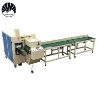 China Body Sleeping Pillow Sofa Cushion Mattress Roll Packing Machine 63r M for sale