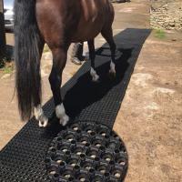 China Heavy Duty Washable Rubber Horse Stall Mats For Washdown Areas Field Shelters And For Muddy Gateways for sale