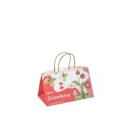 China OEM Printed Fruit Paper Bags With Handles Box Packing Uncoated Lining for sale
