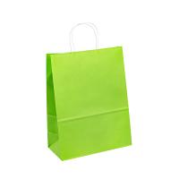 China Custom Logo Printed Matt Green Paper T Shirt Bags with Twisted Rope Handle 30x40cm for sale