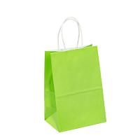 China Custom Logo Printed Matt Green Paper T Shirt Bags with Twisted Rope Handle 30x40cm for sale
