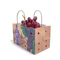 China Biodegradable Waterproof Fruit Paper Bags Recyclable Sustainable for sale