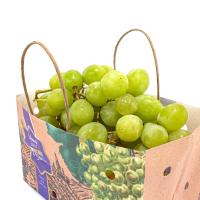 China Kraft Paper Bags for Fruits and Vegetables with Paper Twist Rope Handle 12x8x20 for sale