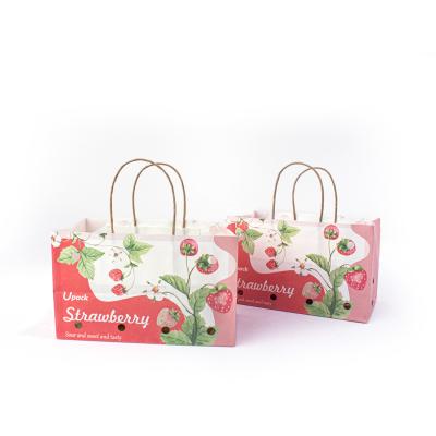 China Compostable Kraft Paper Bag with Handles for Fruits 20x30cm Air Hole for sale