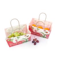 China Handle Kraft Fruit Paper Bags Compostable For Fruit Packaging Takeaway for sale