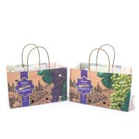 China Square Fruit Paper Bags 100gsm Thickness Compostable With Handle for sale