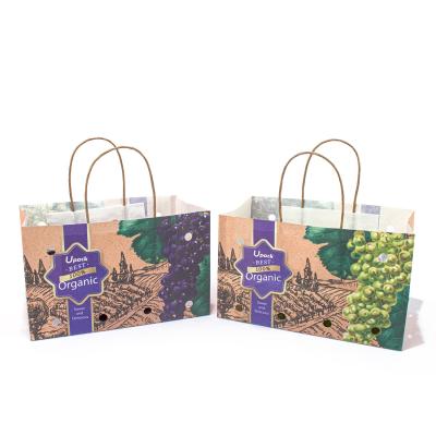 China Square Fruit Paper Bags 100gsm Thickness Compostable With Handle for sale