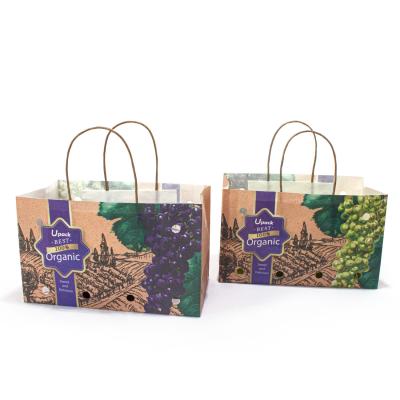 China Compostable Small Kraft Paper Bags with Twist Handles for Restaurant Grocery 8x4x10 Inch for sale