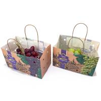 China Compostable Small Kraft Paper Bags with Twist Handles for Restaurant Grocery 8x4x10 Inch for sale