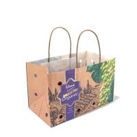 China Brown / White / Customized Fruit Paper Bags With Paper Twist Rope Handle for sale