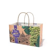 China Sustainable Kraft Paper Bags with Twisted Handles for Grape Fruit 80g for sale