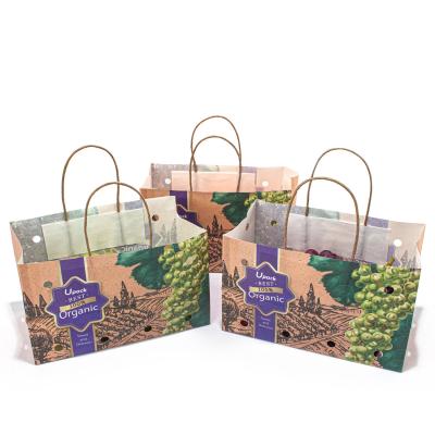 China Custom Kraft Paper Bags with Handles 100 Recyclable for Fruit Retail Shopping for sale
