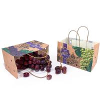 China CMYK Color Fruit Paper Bags Compostable For Takeout Takeaway for sale