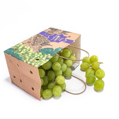 China Customizable Kraft Paper Bags with Handles for Fruits Vegetables 3kg 10kg for sale