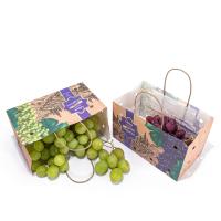 China 10kg Uncoated Fruit Paper Bags with Handles 8 Color Flexo Printing OEM Custom for sale