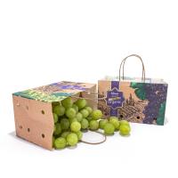 China Recycled Kraft Fruit Paper Bags with Twist Handles 10kg Capacity Custom CMYK Print for sale