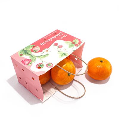 China Fruit Vegetable Packaging Paper Bag CMYK /  Pantone Color With Uncoated Lining for sale