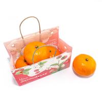 China 100-150gsm Kraft Paper Food Bags with Handle Recyclable Eco-Friendly for Fruit Shopping for sale