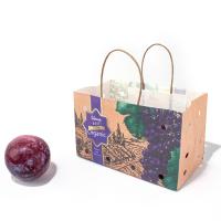 China Custom Logo Printed Kraft Paper Bag with Twist Handle for Fruit Packaging 10-15 Days Lead Time for sale