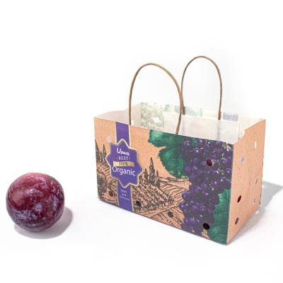 China Custom Logo Printed Kraft Paper Bag with Twist Handle for Fruit Packaging 10-15 Days Lead Time for sale