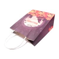 China Recycled Kraft Paper T Shirt Bags with Twist Rope Handles FSC FDA Certified Custom Size for sale