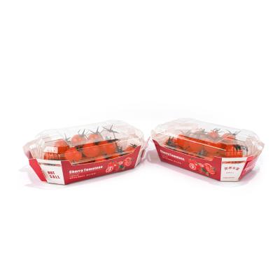 China Custom Printed Kraft Paper Food Trays 60gsm Recyclable Fruit Vegetable Packaging Boats for sale