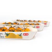 China Compostable Kraft Paper Fruit Boat Tray 300GMS for Cherry Tomato Packaging for sale