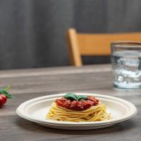 China Eco Friendly Oil Proof Kraft Paper Plate Tray Disposable 248°F Heat Resistant for Supermarket Food Packaging for sale