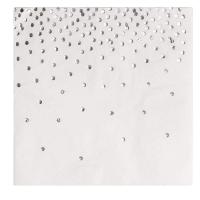 China Disposable Christmas Cocktail Napkins 3 Ply Tissue Paper for Dinner Party Decorative for sale