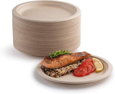 China Greaseproof Sugarcane Food Tray Compostable Disposable Plates 250gsm Custom Size for sale