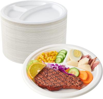 China 9 Inch Compostable Party Plates Sugarcane Bagasse Heavy Duty 250gsm for sale