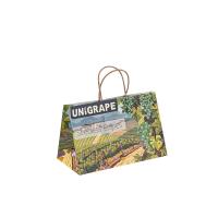 China 100-150gsm Kraft Paper Food Bags with Handle Recyclable Eco-Friendly for Fruit Shopping for sale