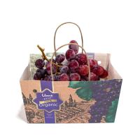 China Customizable Fruit Shopping Bags Wet Strength Kraft Paper Material for sale