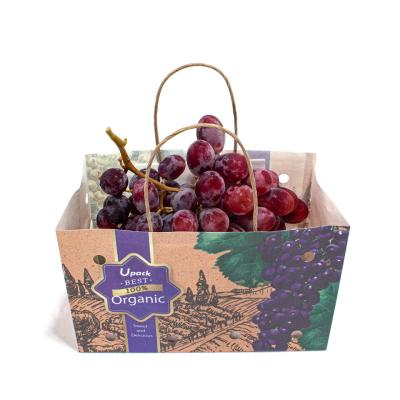 China Customizable Fruit Shopping Bags Wet Strength Kraft Paper Material for sale