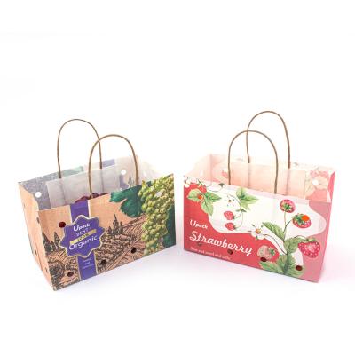China Custom Wet Strength Kraft Paper Fruit Bags 3kg 10kg Carry Weight Eco Friendly for sale