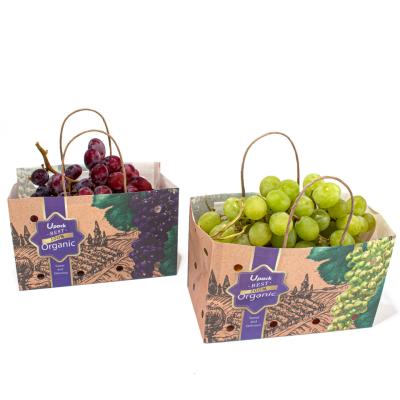 China Customizable Kraft Paper Bags with Paper Twist Rope Handle 3kg 10kg for sale