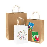 China Custom Kraft Paper Handle Bags 100-150gsm Eco Friendly Recyclable 10kg Capacity for sale
